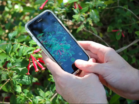 Science at Home | Programs and Events Calendar