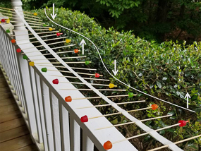 Science at Home | Programs and Events Calendar