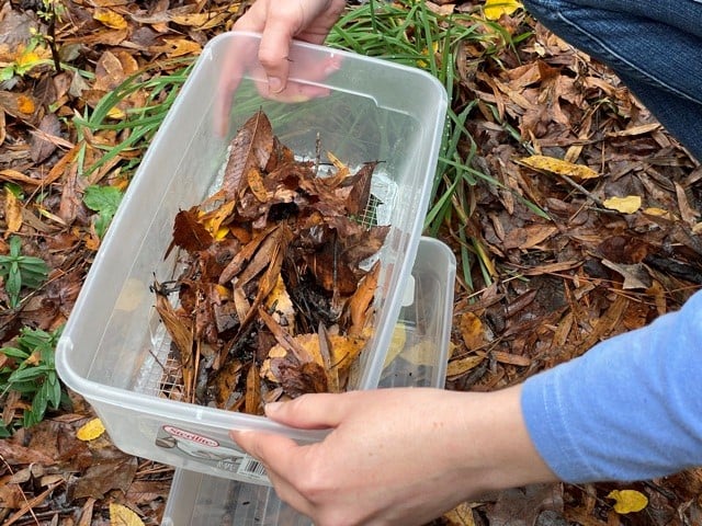 Science at Home | Programs and Events Calendar