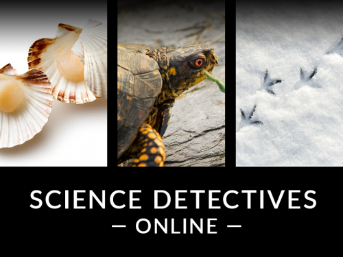 Science Detectives – Online! FAQ | Programs and Events Calendar