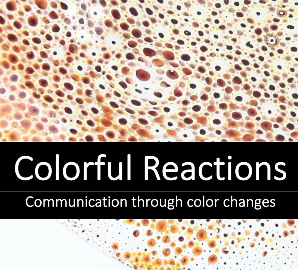 Colorful Reactions: Communication Through Color Changes | Programs and ...