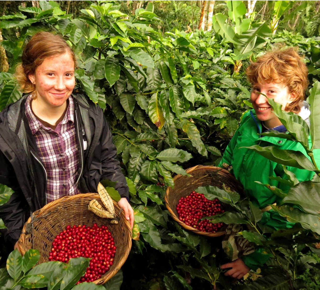 Sustainable Coffee: Sustaining Livelihoods and Wildlife in Nicaragua ...